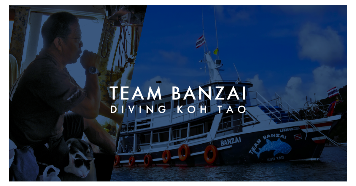 Team Banzai Diving Koh Tao | タイ、タオ島でのんびりダイビング！